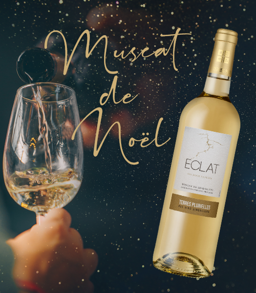 Le Muscat de Noël est arrivé ! - Terres Plurielles